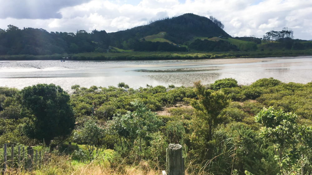 Northland | Te Araroa Trail – Northbound Guide